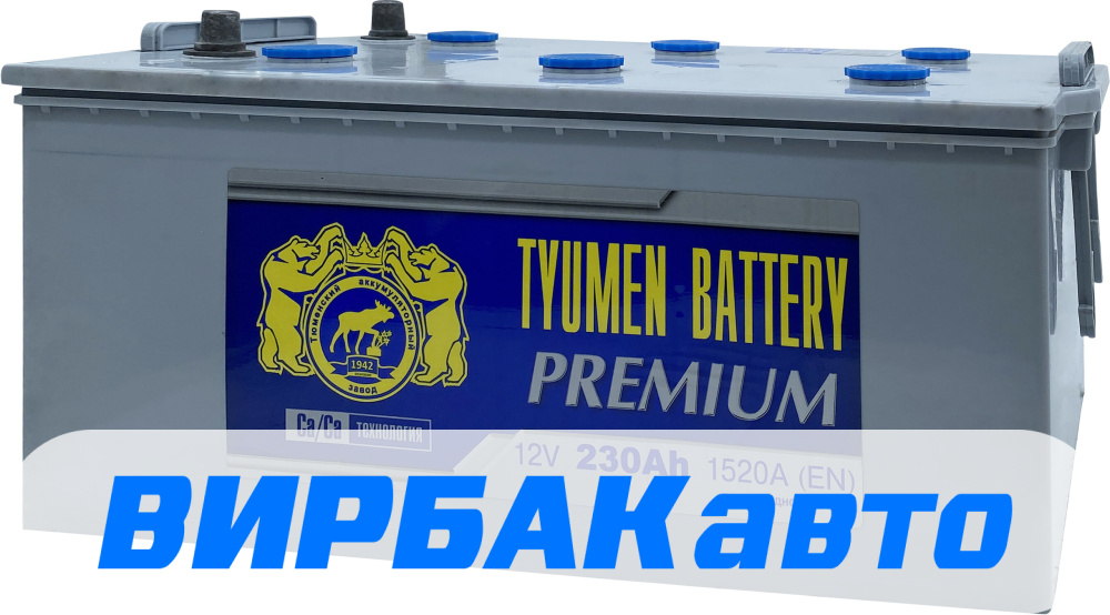Купить Аккумулятор TYUMEN BATTERY Premium 230 Ач 1520 А обратная ...