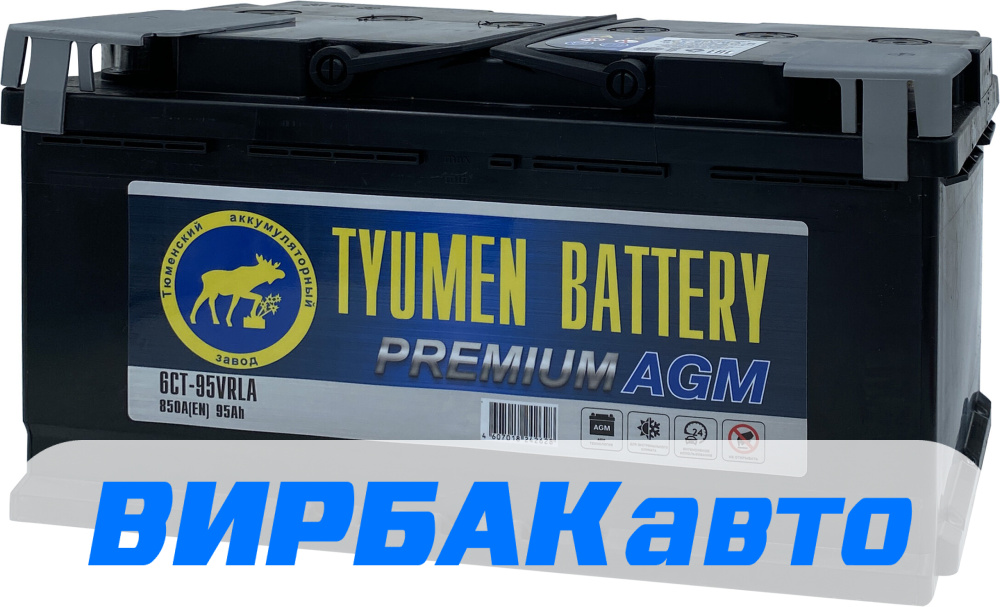 Купить Аккумулятор TYUMEN BATTERY Premium 95 Ач 850 А обратная ...